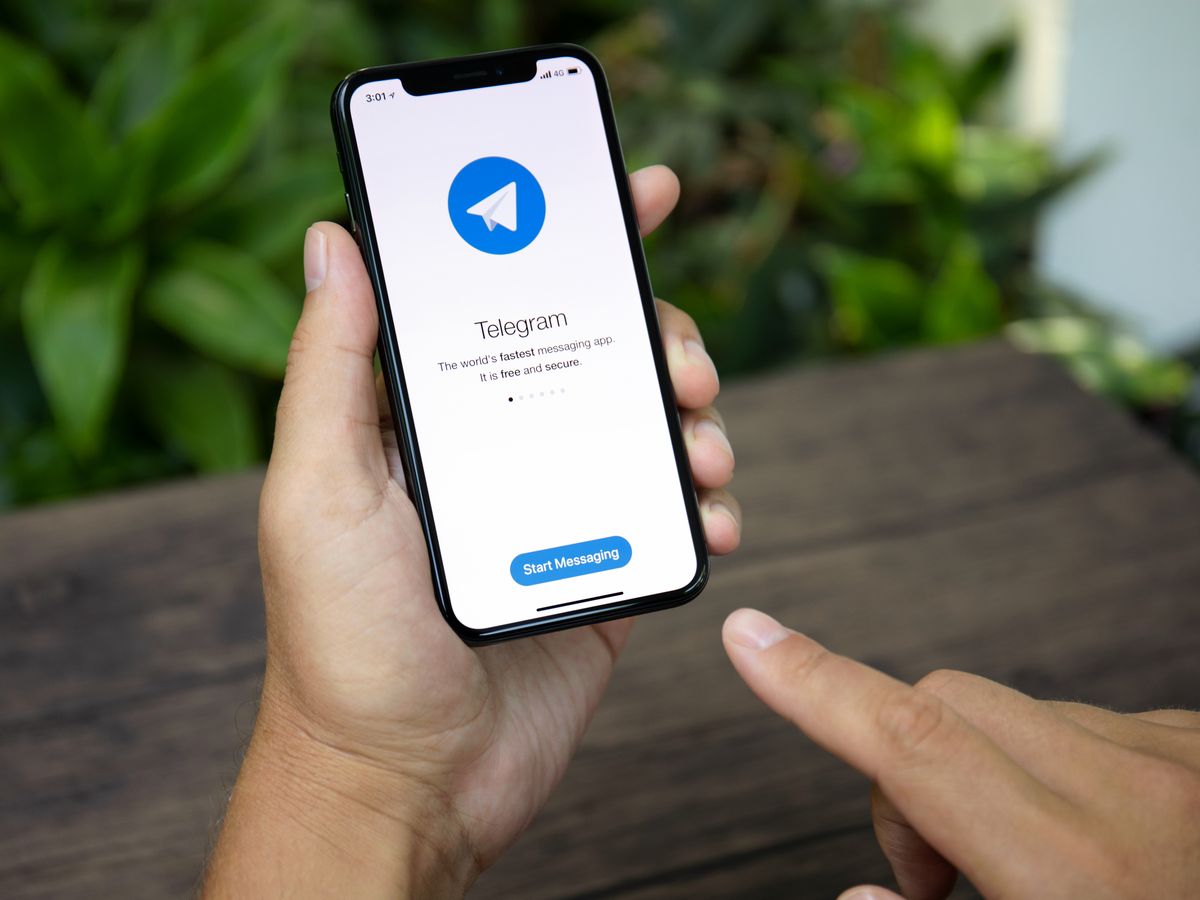 Reikartz has launched a Telegram bot for booking rooms! - News - Reikartz